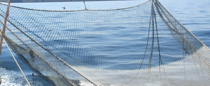 Poissons frais | Poissonnerie en Ligne | Livraison 24h – Poissonnerie ...